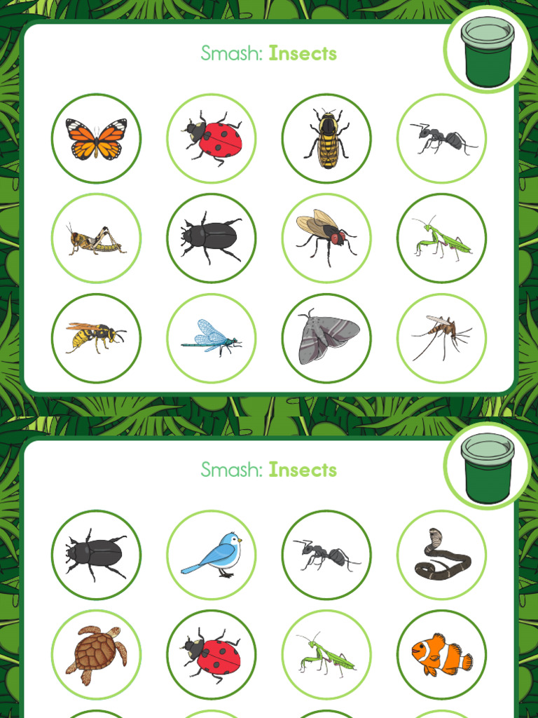 Insects Smash Mats | PDF