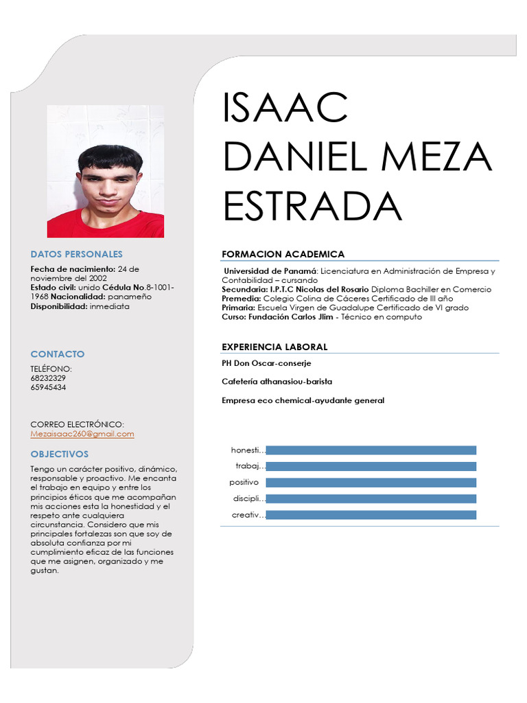 Perfil Profesional de Isaac Meza | PDF