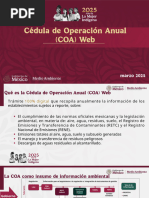 Guías para la Cédula de Operación Anual | PDF | Contaminación | Residuos