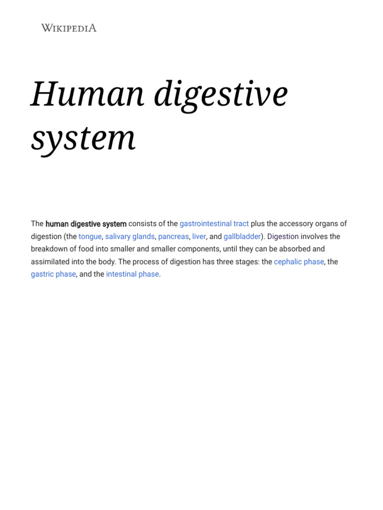 Human Digestive System - Wikipedia Team SPY | PDF | Human Digestive System | Stomach