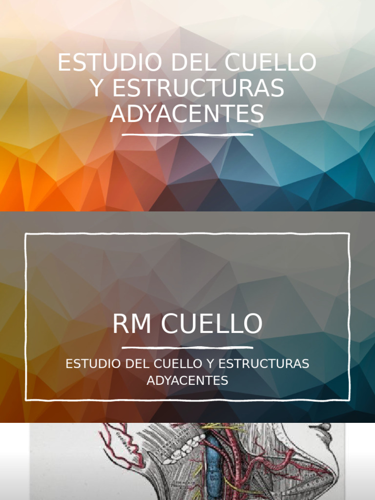 RM Cuello y Adyacentes | PDF | Anatomía | Especialidades Medicas