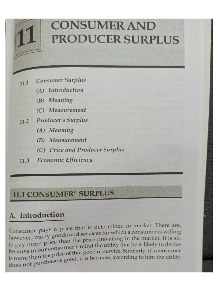 Consumer Surplus and Producer Surplus - Manan | PDF
