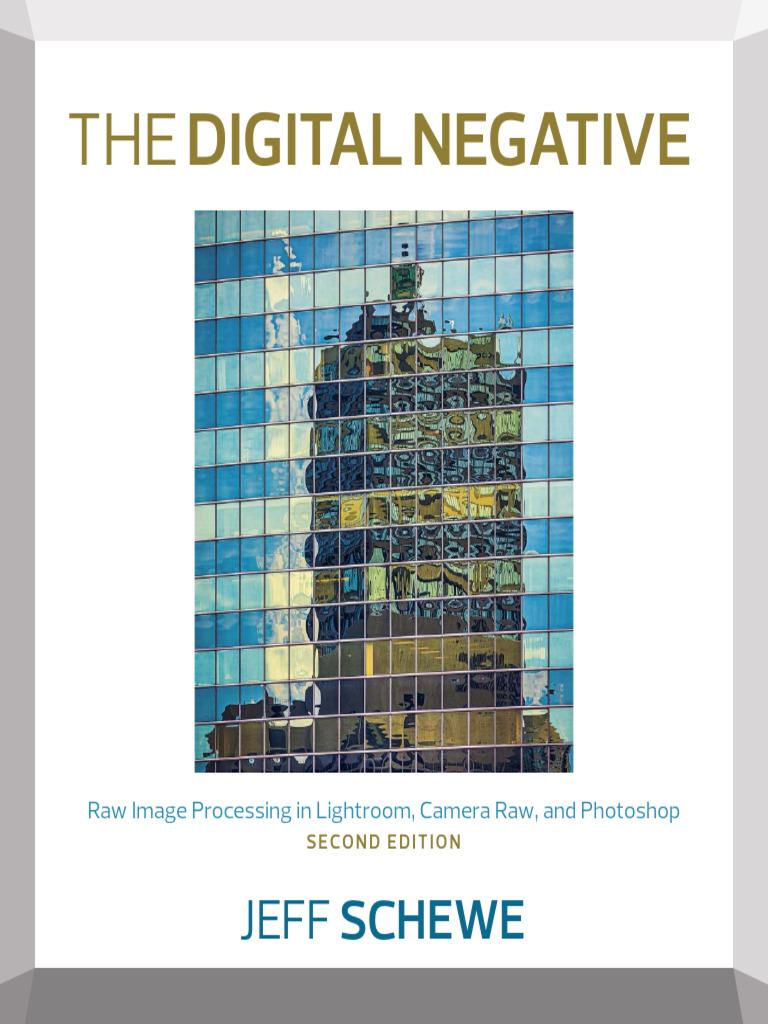 Digital Negative: Raw Processing Guide | PDF | Adobe Photoshop | Raw ...