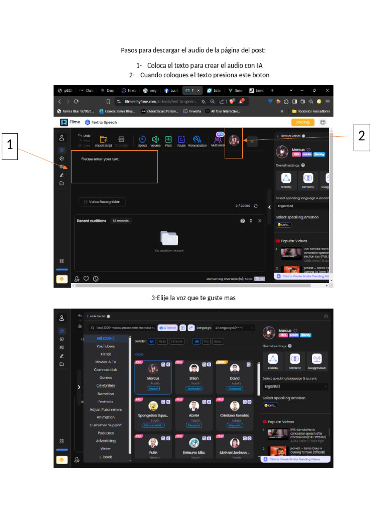 Descargar Audios | PDF