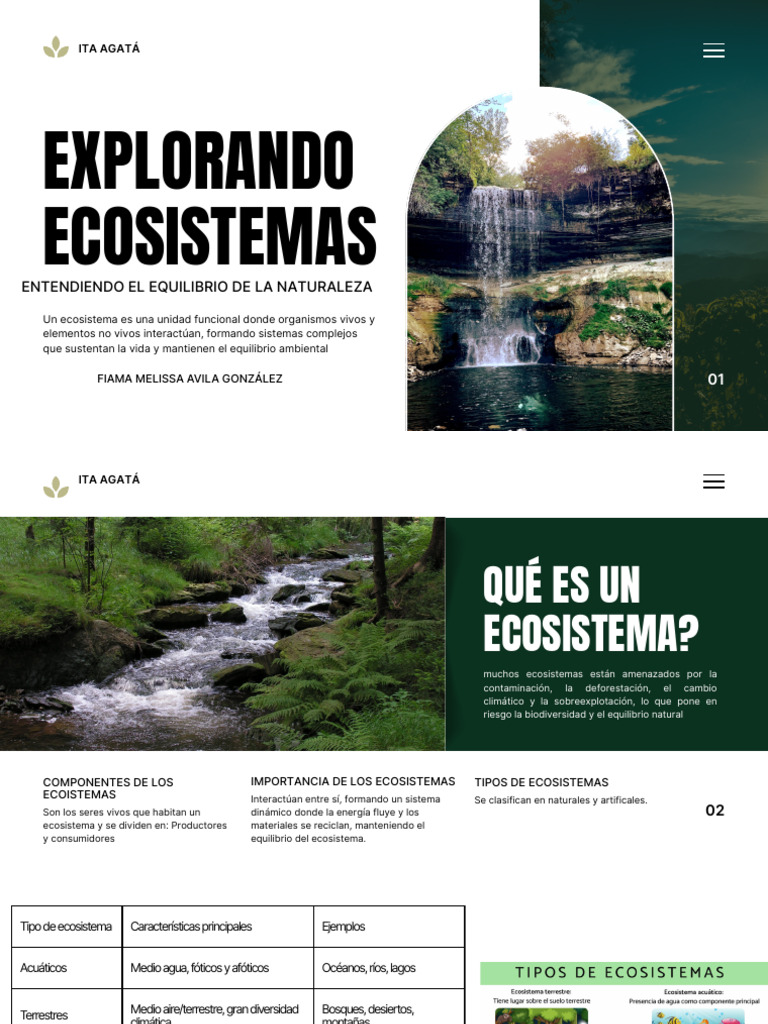 Explorando Ecosystems | PDF | Ecosistema | Desierto