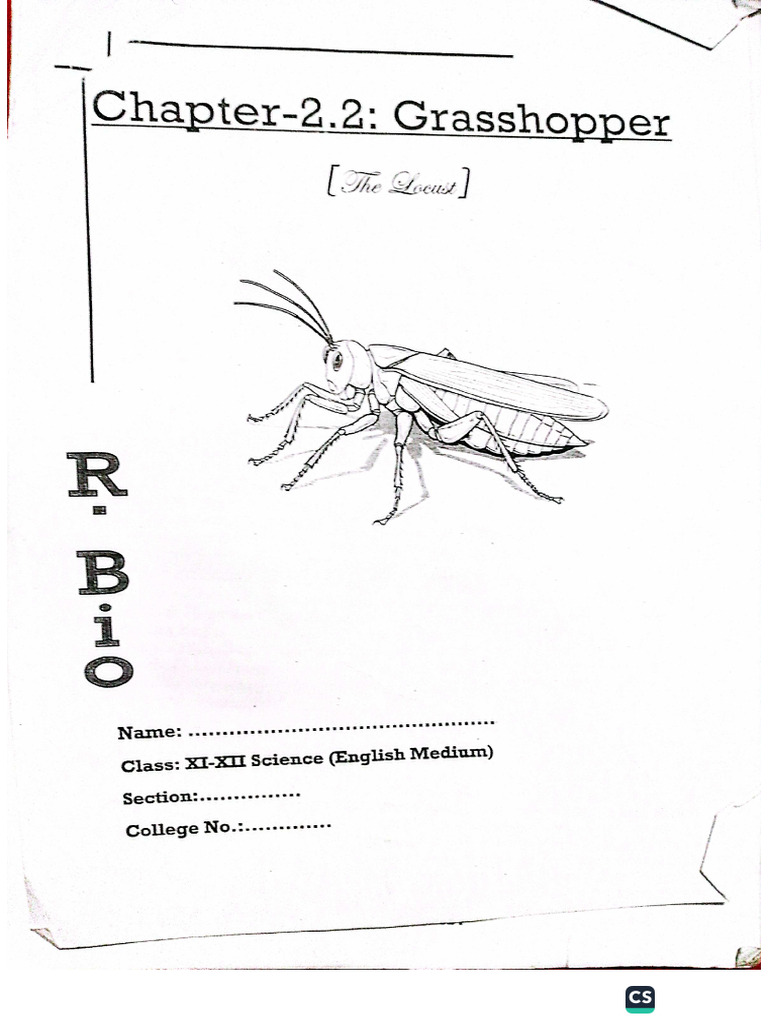 Download CamScanner for Taihan Rahman | PDF