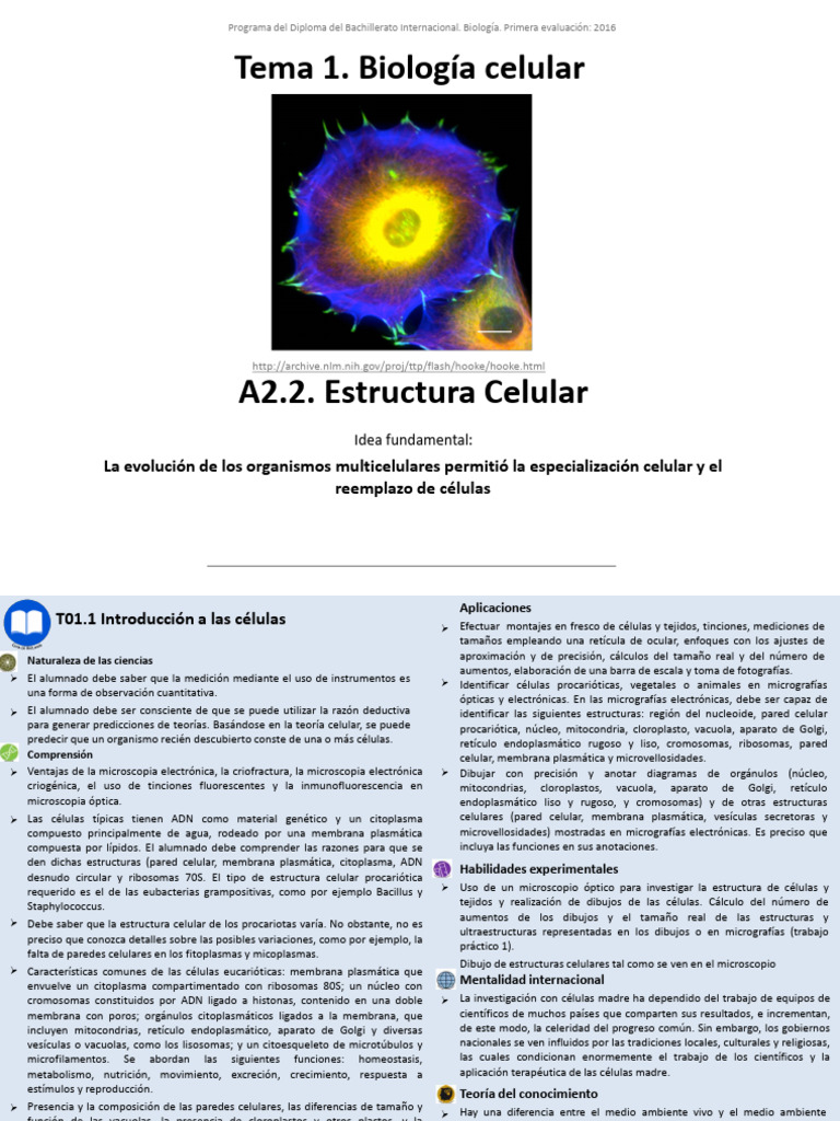 Estructura y Funciones de las Células | PDF | Biología Celular ...