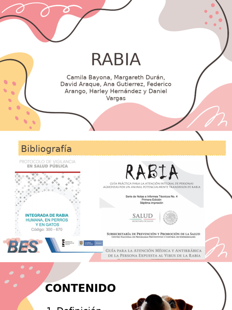 RABIA | PDF | Rabia | Virus