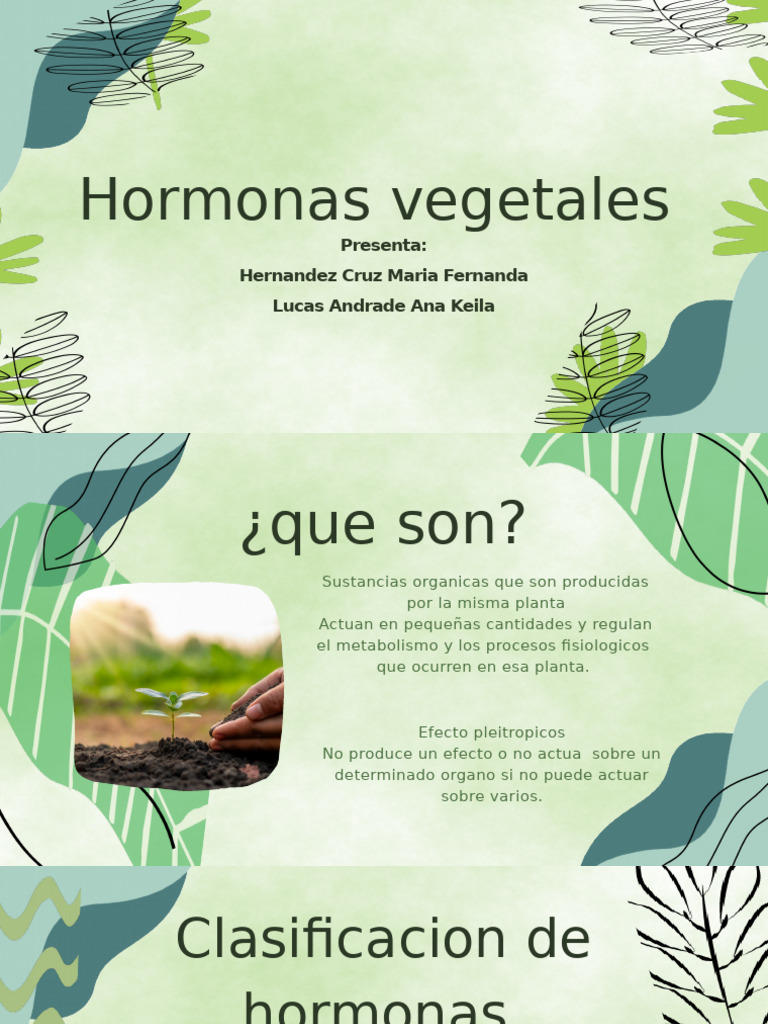 Hormonas Vegetales | PDF