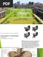 Tecnica Quirúrgica Hernioplastía Inguinal 1 | PDF