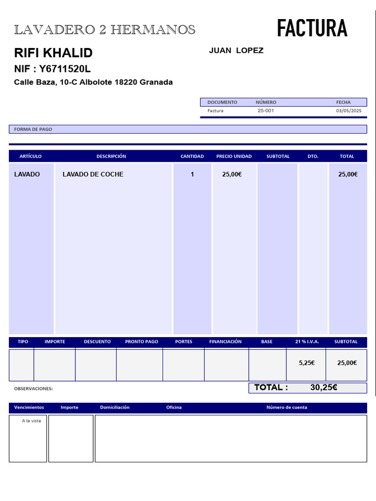 Factura Lavado | PDF