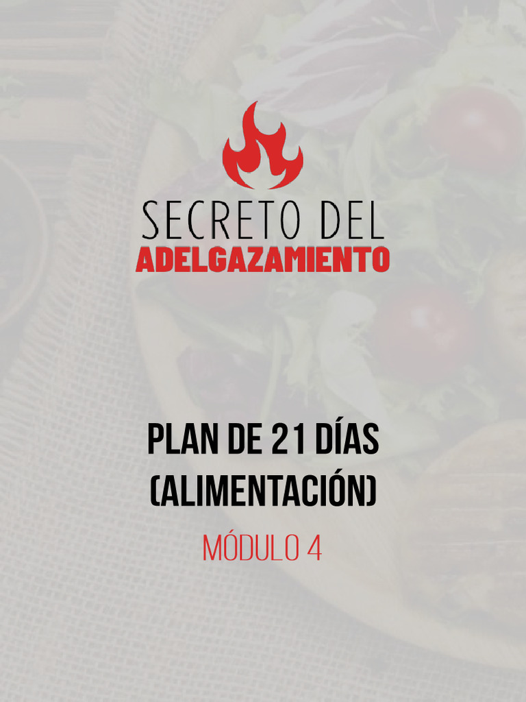 M DULO 4 - Plan de 21 D As (Alimentaci N) | PDF