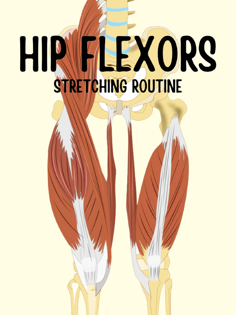 Hip Flexors Flexibility Routine | PDF