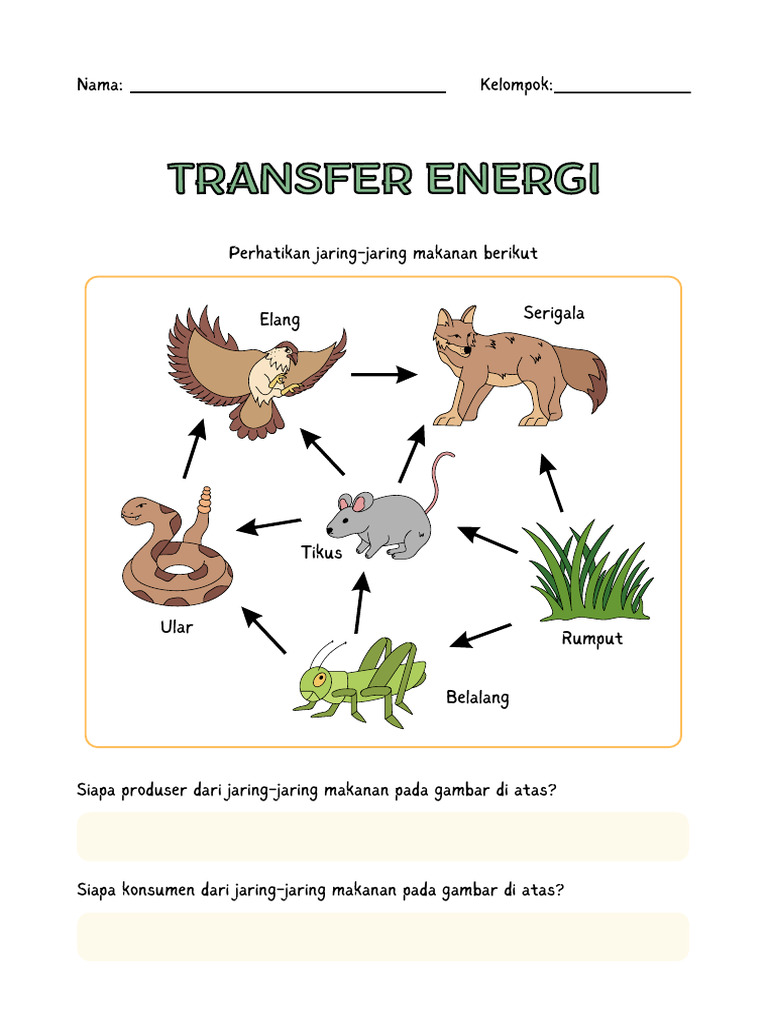 Exploring Food Webs Activity Science Worksheet in Green Brown Hand ...