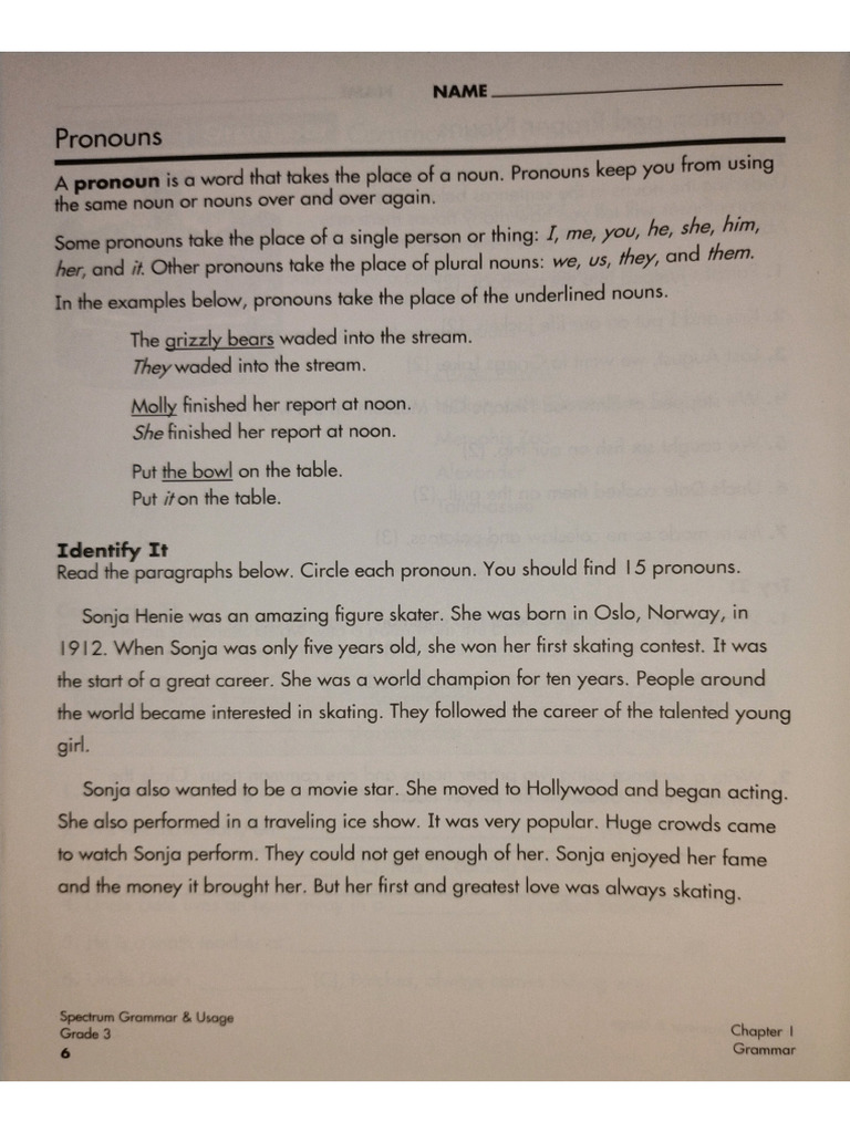 Pronouns 2 | PDF