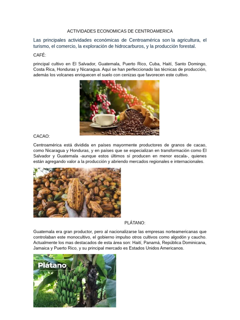 Actividades Económicas en Centroamérica | PDF | Centroamérica | Agricultura