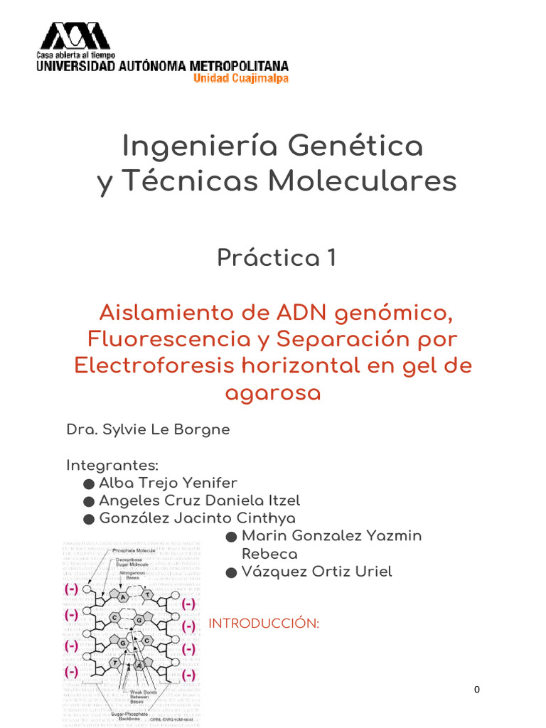 Aislamiento de ADN Genómico, Fluorescencia y Separación Por ...