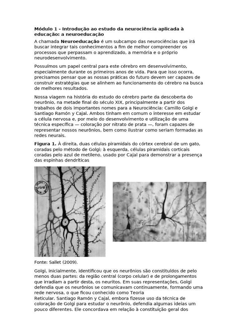 Neurônios e Doutrina Neuronal na Educação | PDF | Neurônio | Cérebro