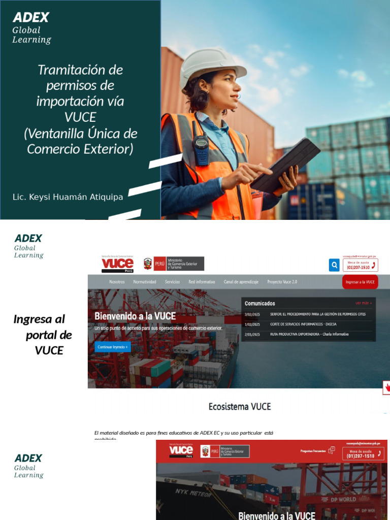 Sesión 4 - VUCE | PDF