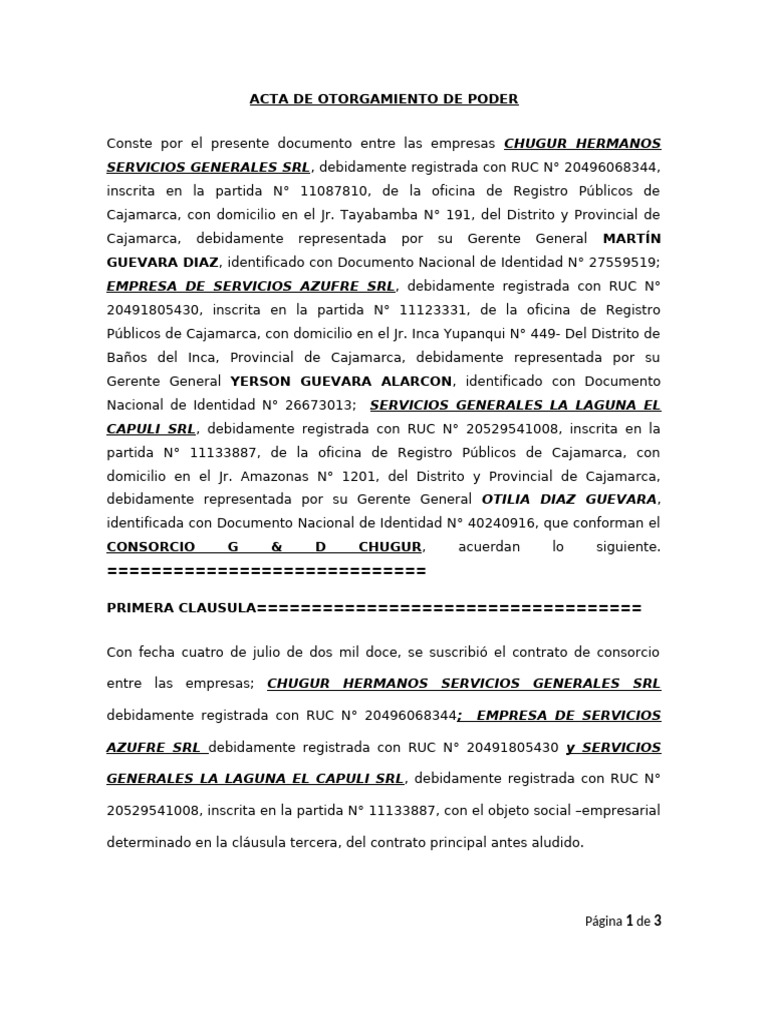 Acta de Otorgamiento de Poder | PDF