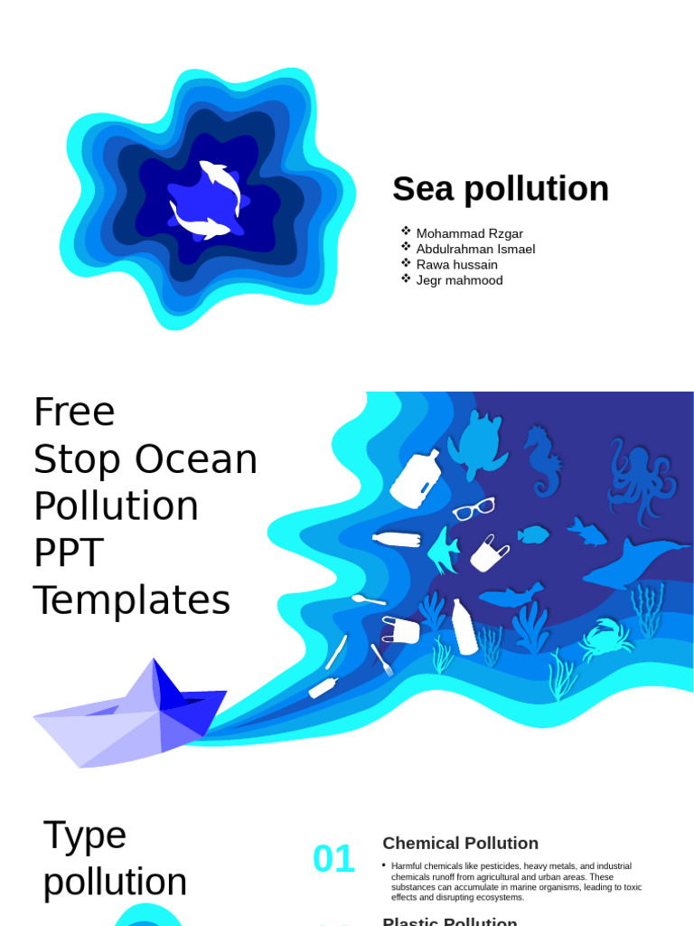 Understanding Sea Pollution Causes | PDF | Eutrophication | Pollution