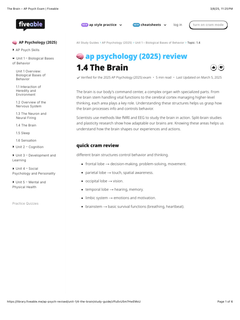 1.4 The Brain - AP Psych Exam - Fiveable | PDF | Lateralization Of ...