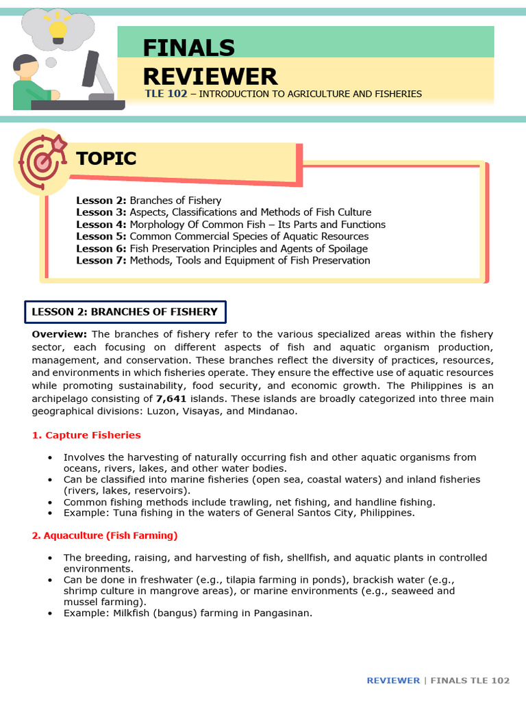 Branches of Fishery Overview in TLE 102 | PDF | Fishery | Food Preservation