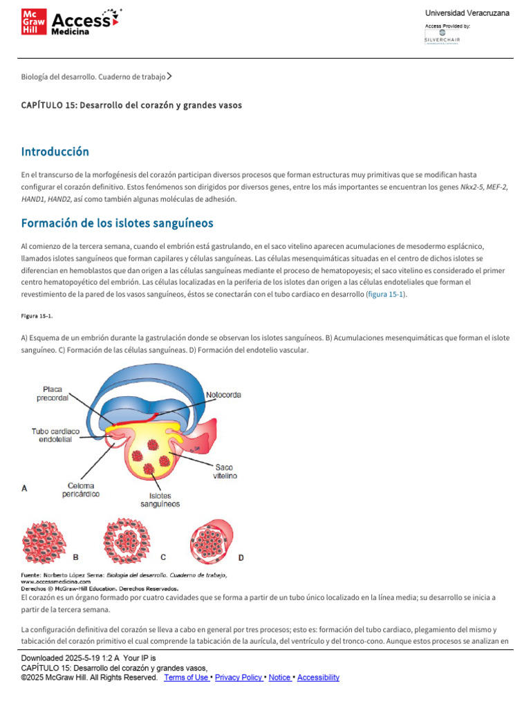 CAPÍTULO 15 - Desarrollo Del Corazón y Grandes Vasos | PDF | Aorta ...