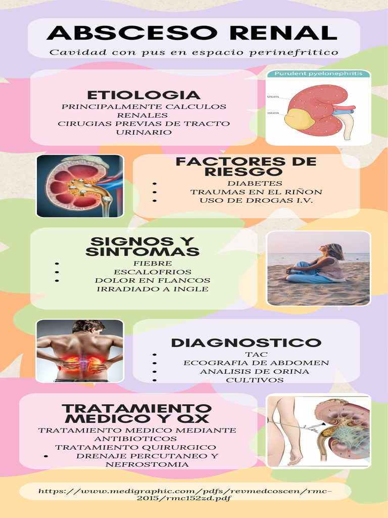 Absceso Renal | PDF