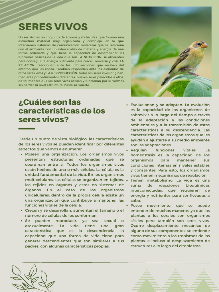 Funciones vitales de los seres vivos | PDF | Organismos | Vida
