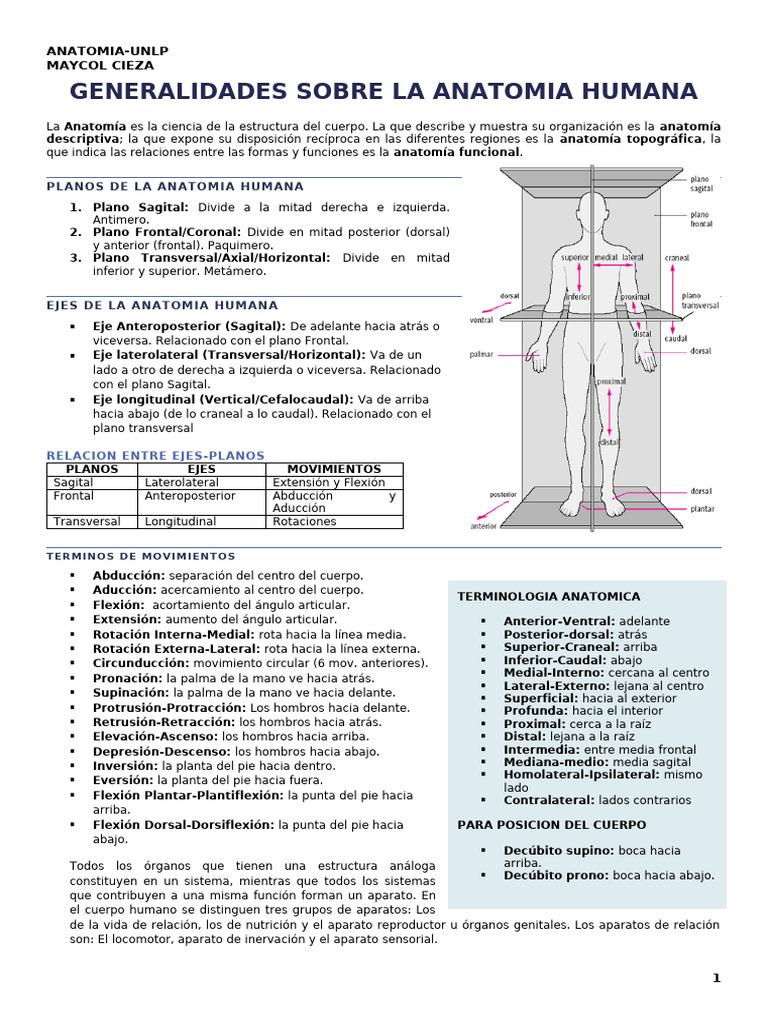 Tema 01-Generalidades de Anatomia | PDF | Articulación | Hueso