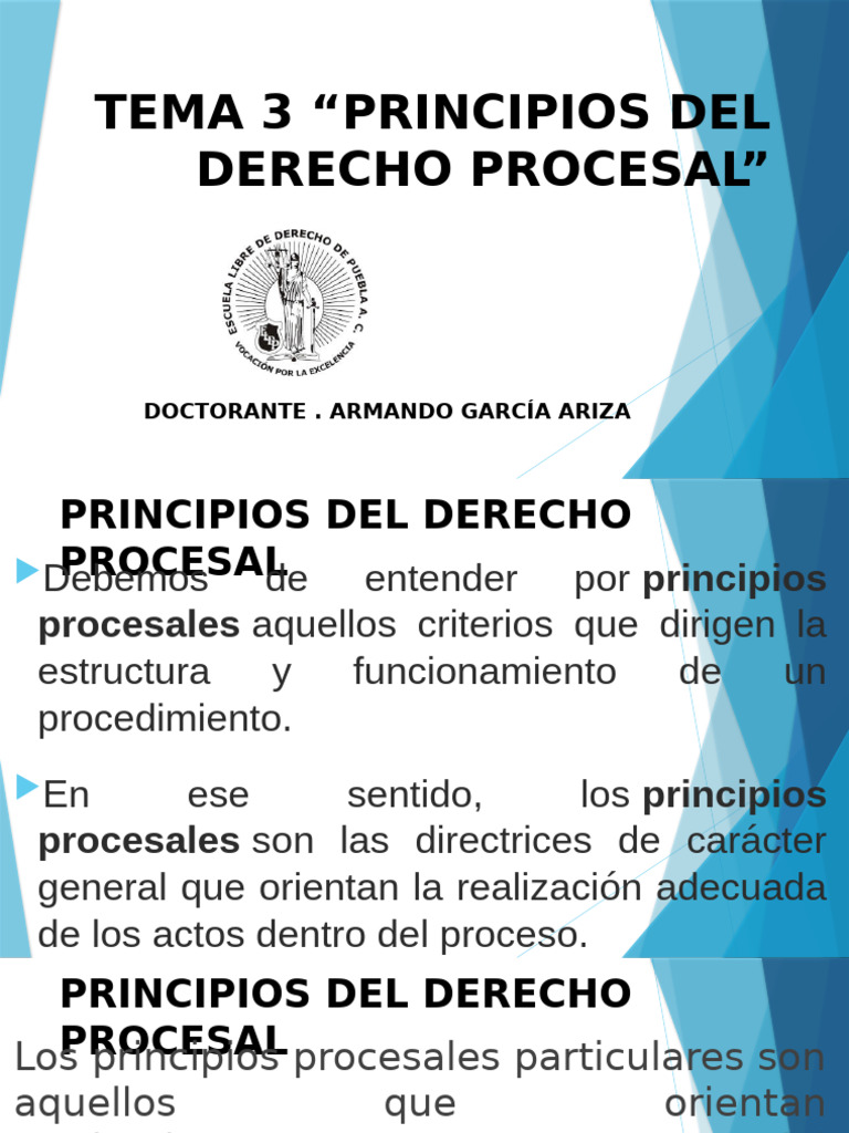 Tema 3 Principios Del Derecho Procesal Civil | PDF | Ley procesal | Demanda judicial