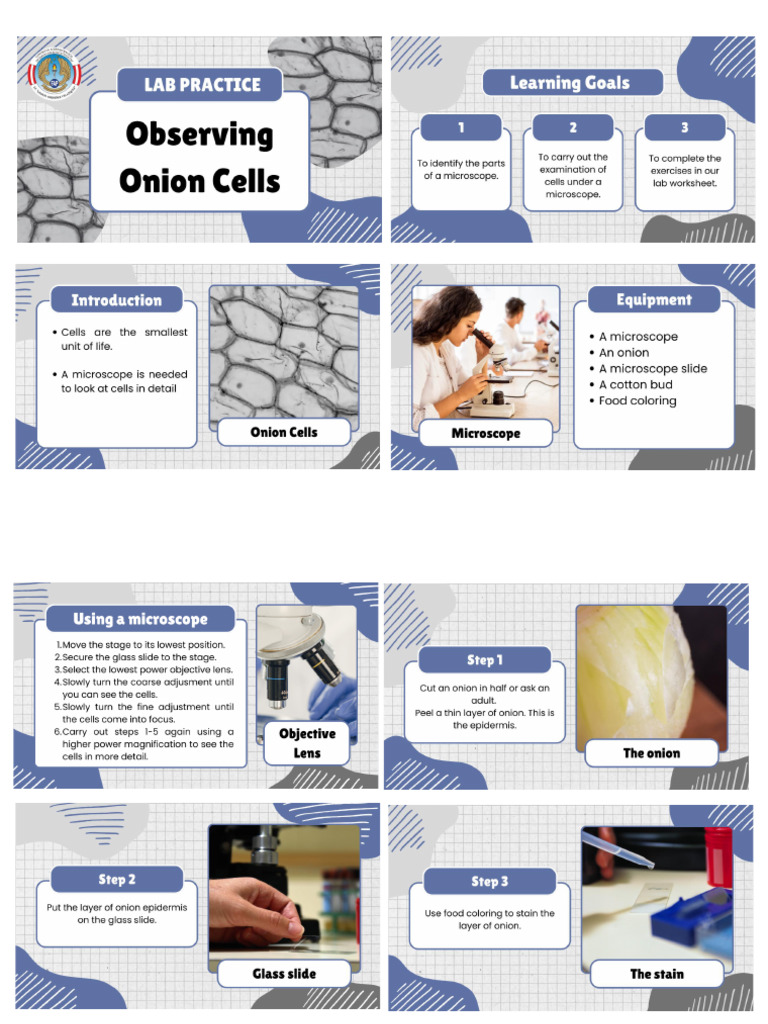 Observing Onion Cells - 5th | PDF