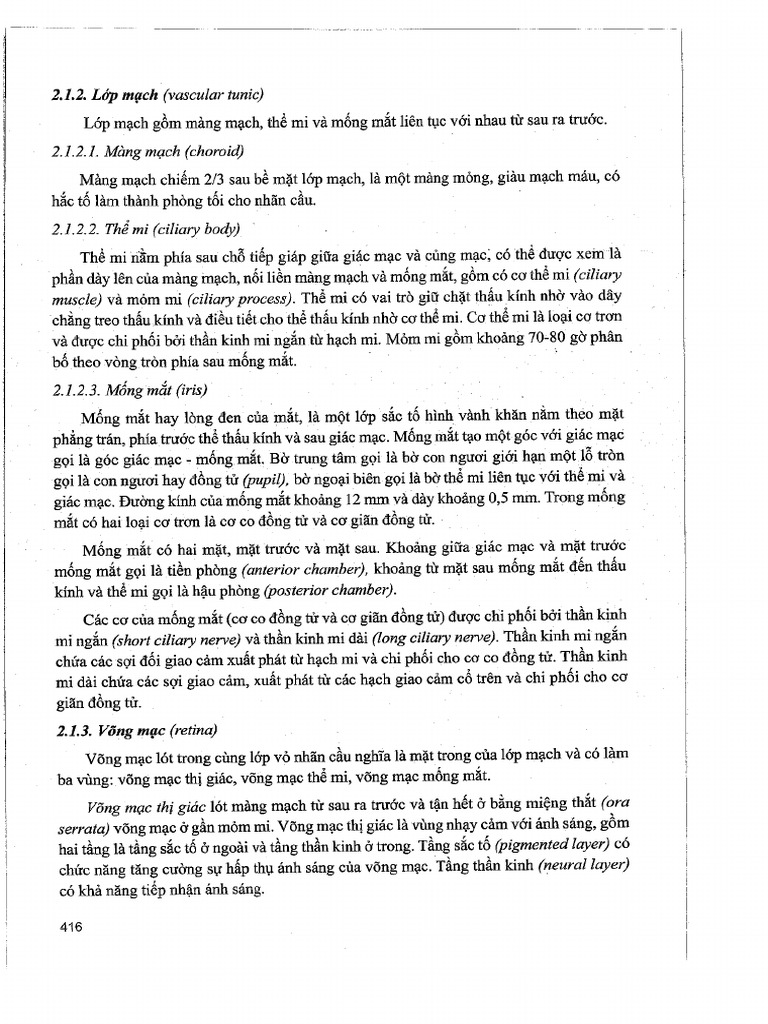 GIẢI PHẪU HỌC YDS 2023 Tập 2-Trang-211 | PDF