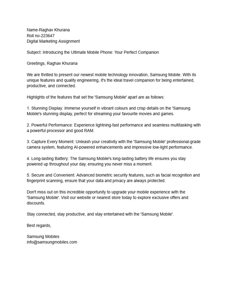 Raghav Assignment Digital Marketing 223647 | PDF