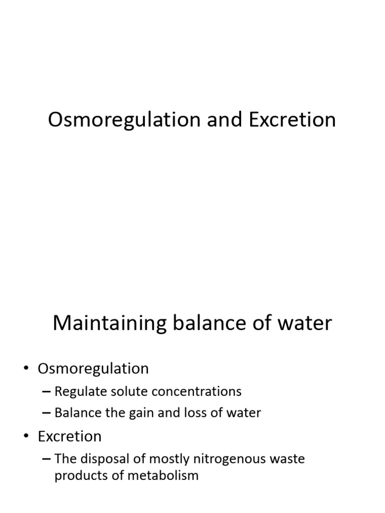 Osmoregulation and Excretion Overview | PDF