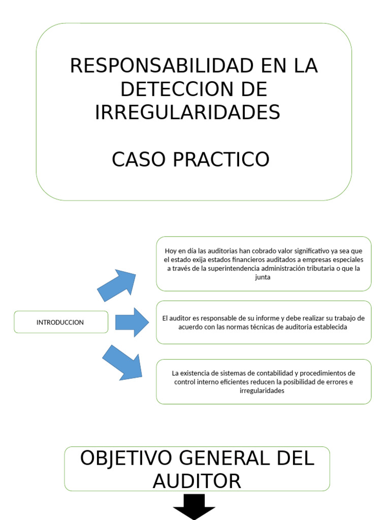 Responsabilidad en La Dectenccion de Irregularidades - Caso Practico ...
