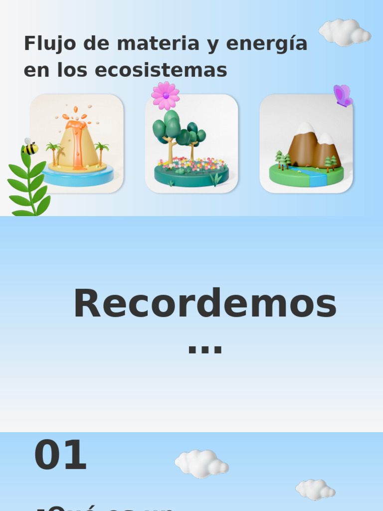 Flujo de Materia y Energia en Ecosistemas | PDF | Fotosíntesis | Agua