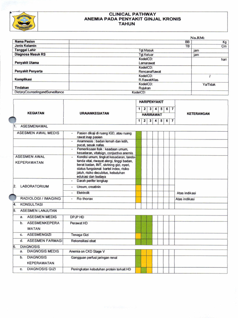 Clinical Pathway Anemia Pada Penyakit Ginjal Kronis | PDF