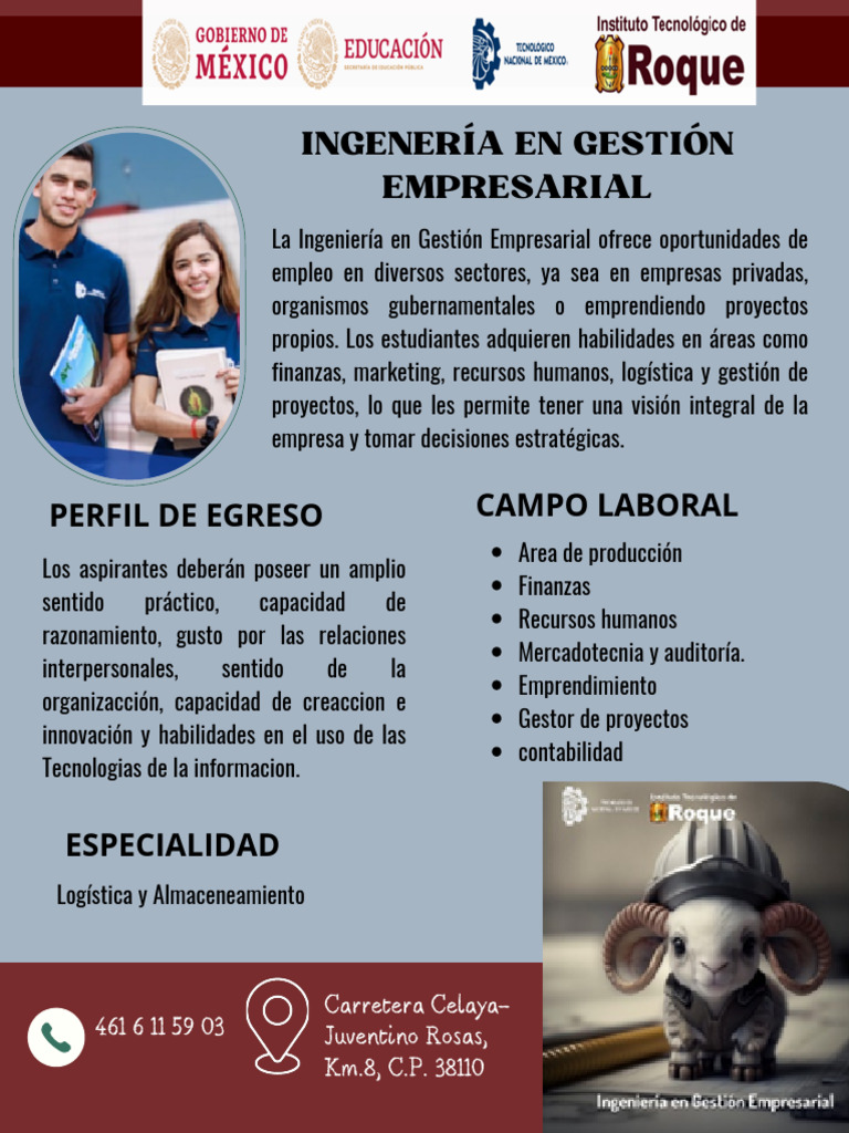 Oportunidades en Ingeniería Empresarial | PDF
