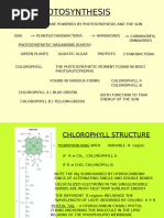 CH 11. Photosynthesis in Higher Plants - PPT | PDF | Photosynthesis ...