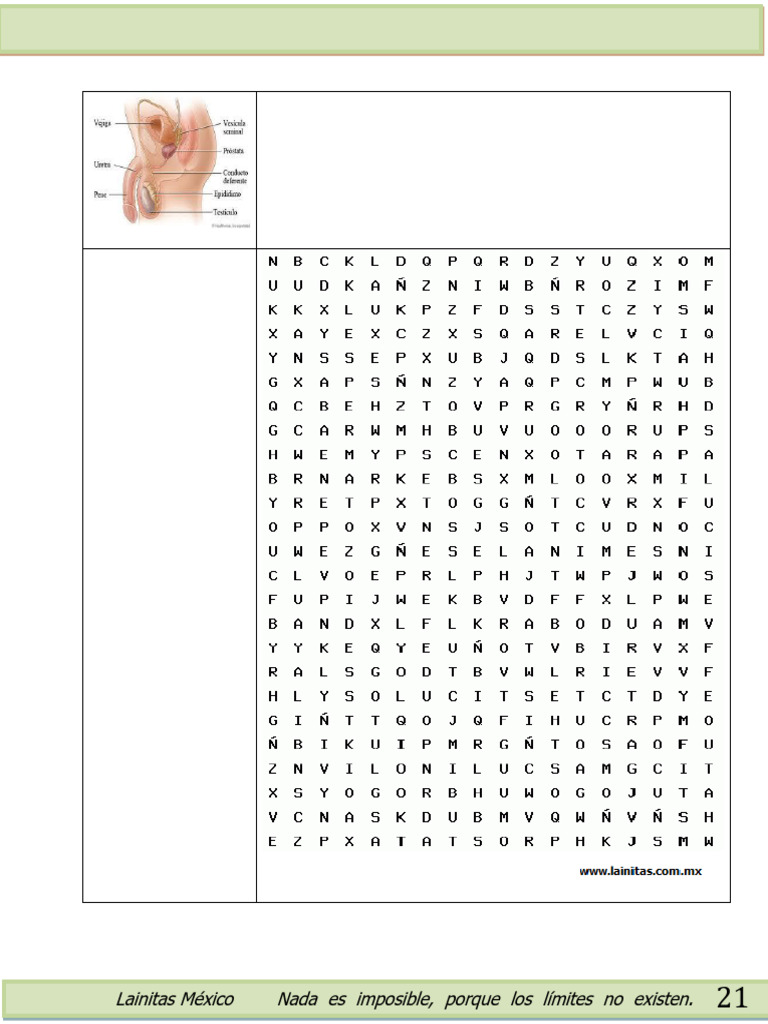 4to Grado - Bloque 1 - Ejercicios Complementarios-21 | PDF