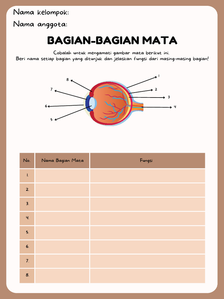 Bagian dan Fungsi Mata Manusia | PDF