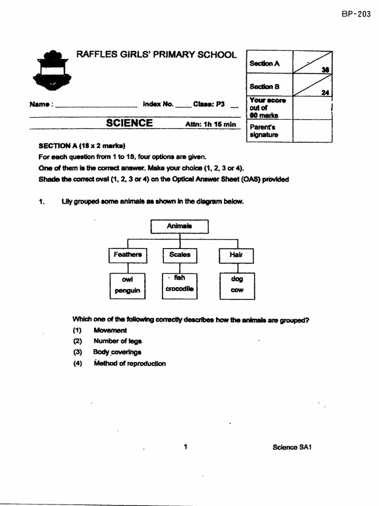 P3 Science 2022 SA1 Rafflesgirls | PDF