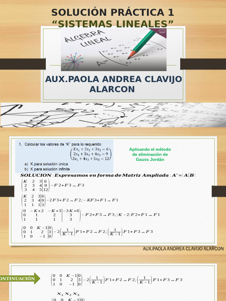 Solución Práctica 1 - Sistemas Lineales | PDF