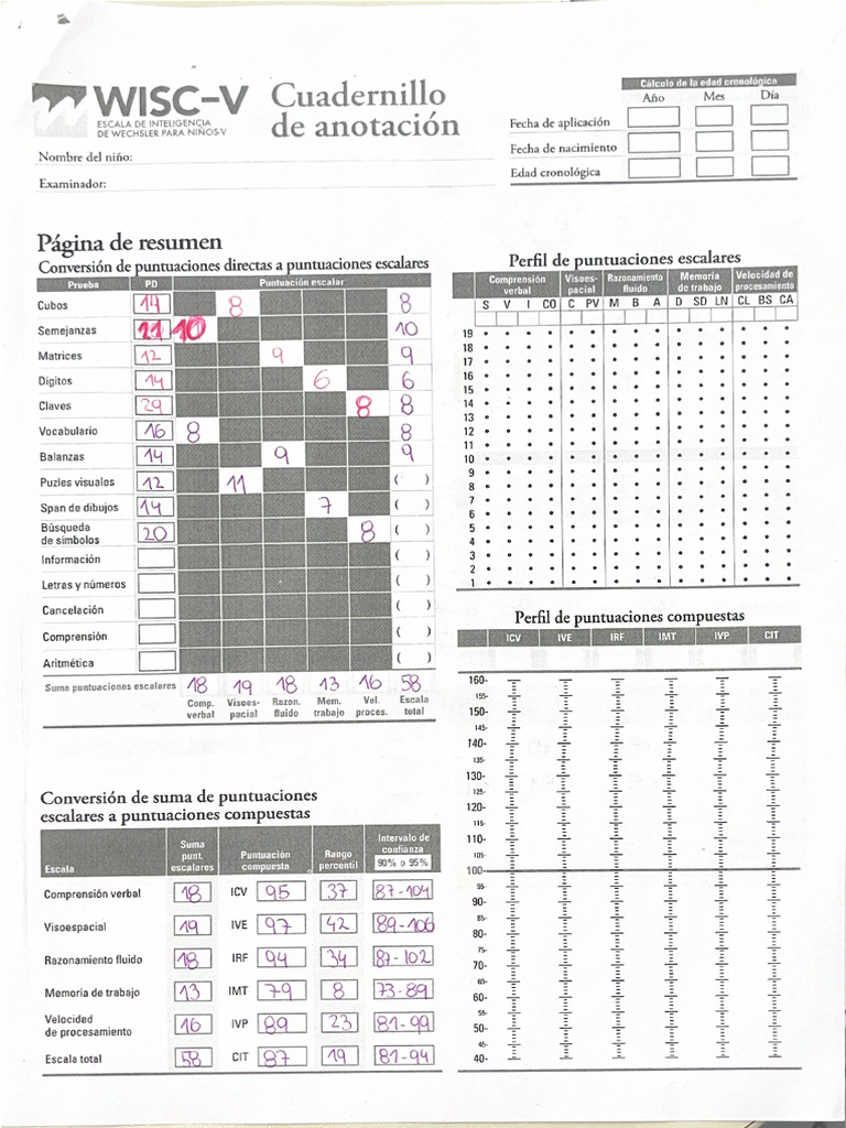 Cuadernillo de Anotación WISC-V | PDF