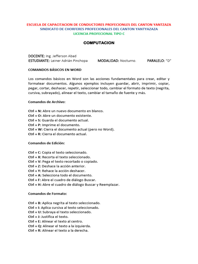Comandos Básicos en Word | PDF