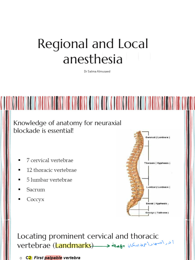10 - Local & Regional Anesthesia 2 | PDF | Vertebral Column | Vertebra