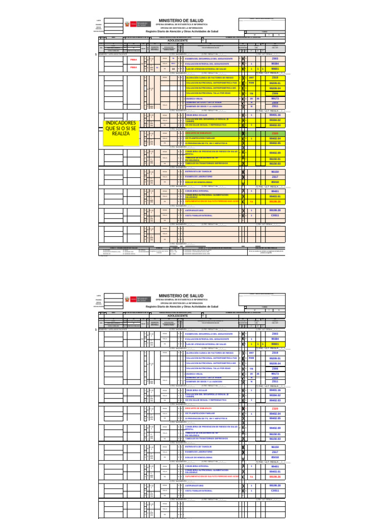 Formato - His-ADOLESCENTE 2025 - ACTUALIZO | PDF | Cuidado de la salud