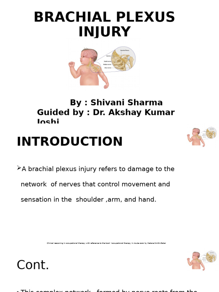 Brachial Plexus Injury | PDF | Physical Therapy | Occupational Therapy